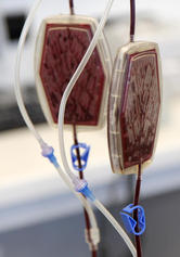 White blood cells | New Zealand Blood Service